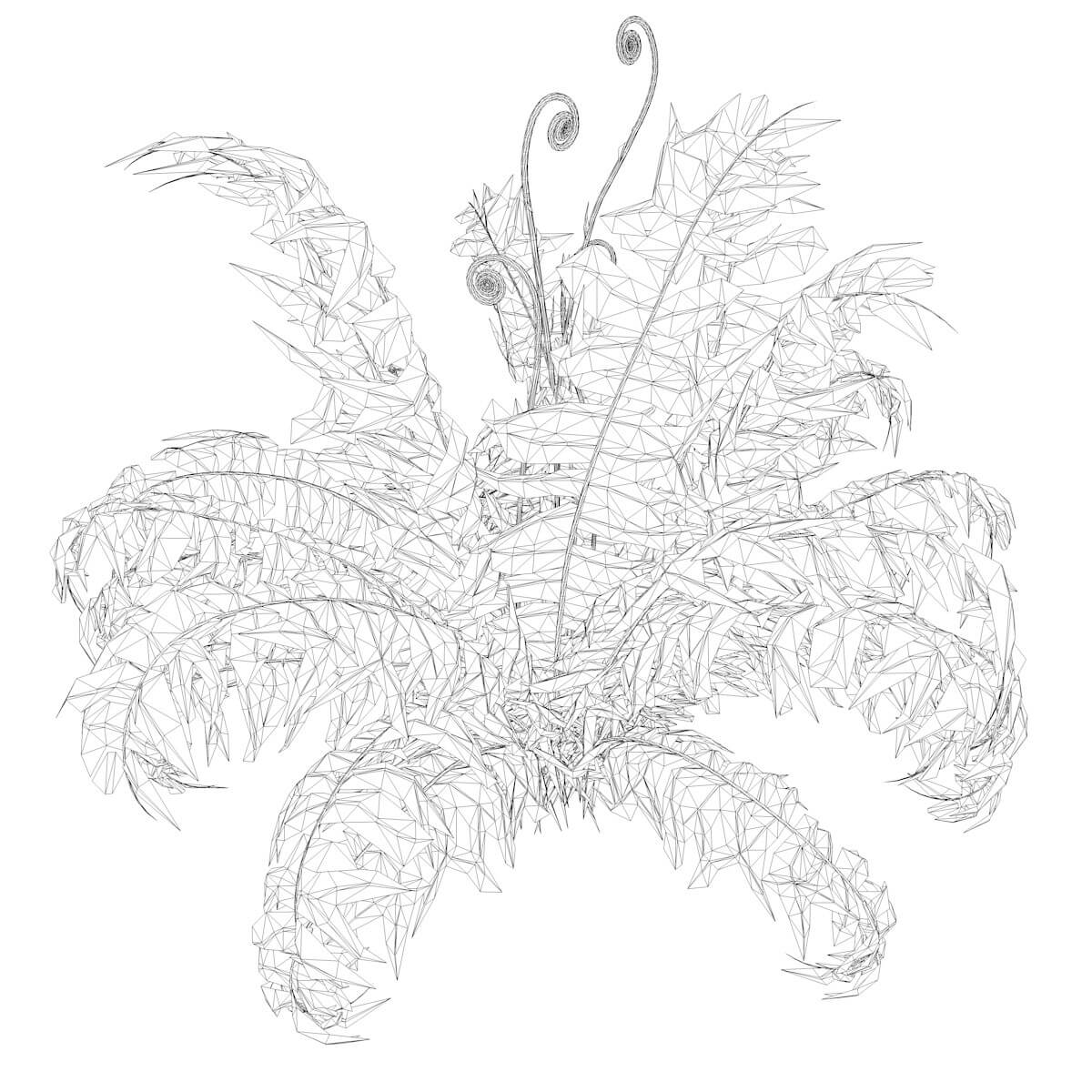 Western Sword Fern Collection by AntonioKowatsch