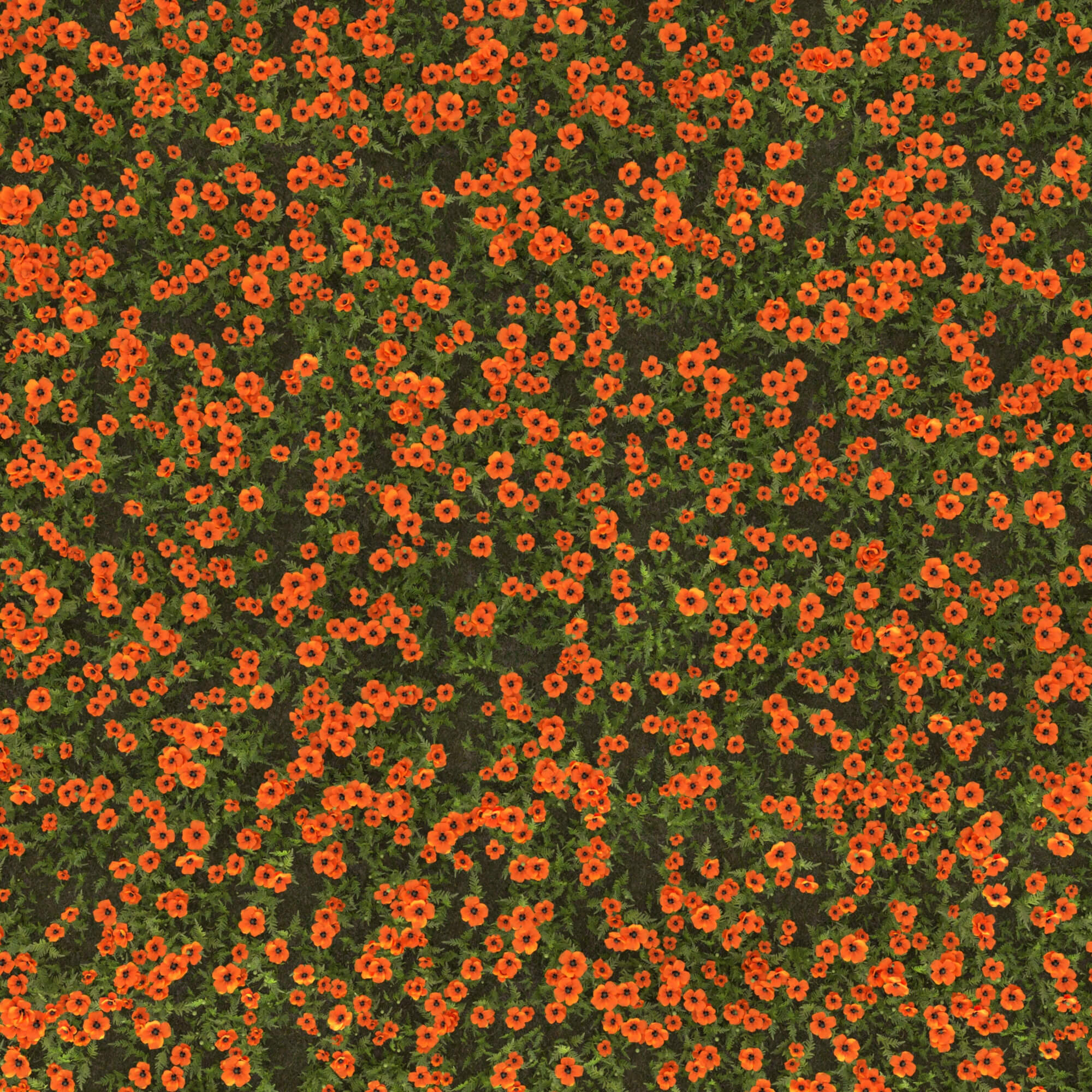 Poppy Field - 3D Model by aoki_07