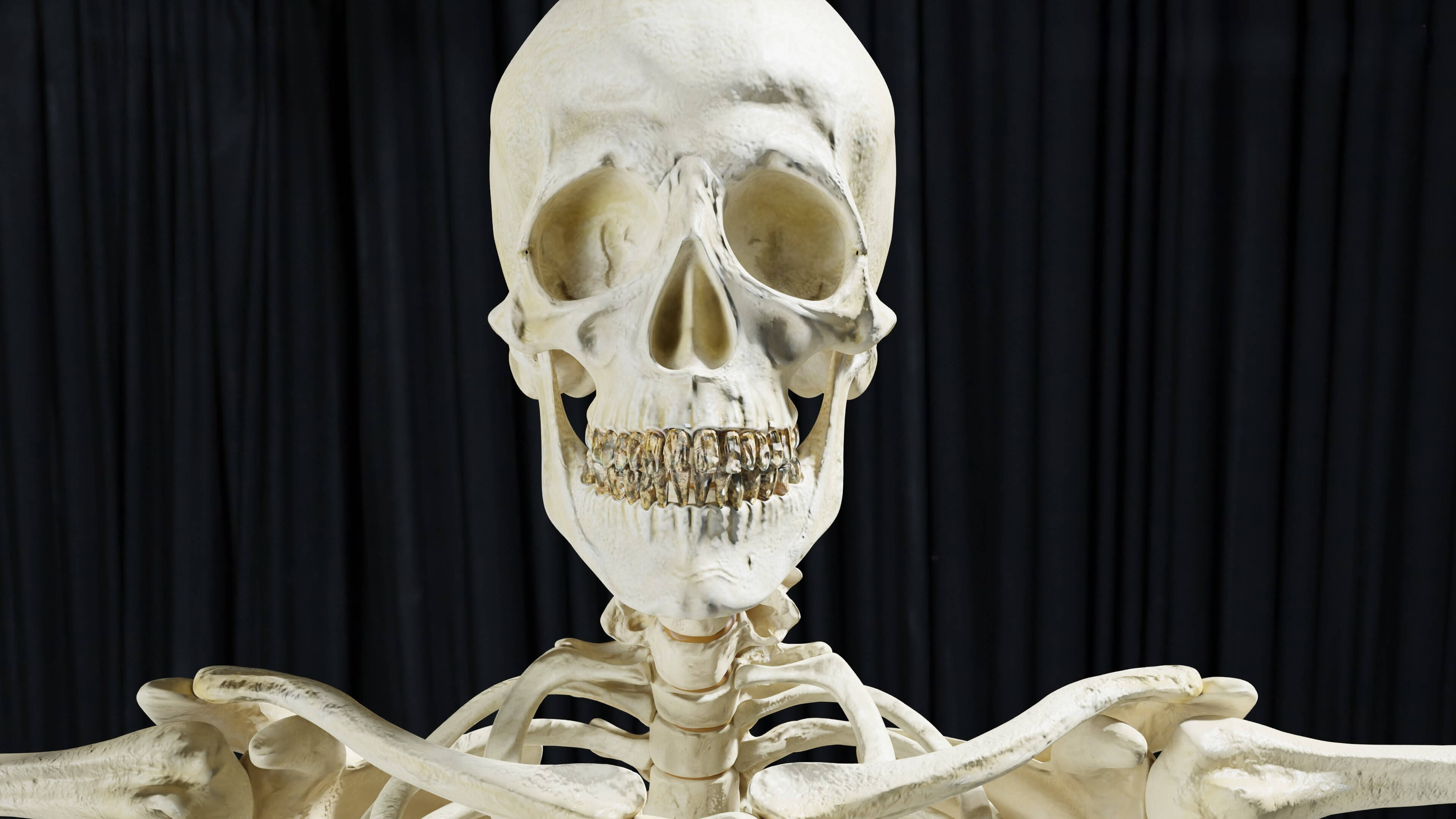 Human Rigged Skeleton Male - 3D Model by ApnaModelZ