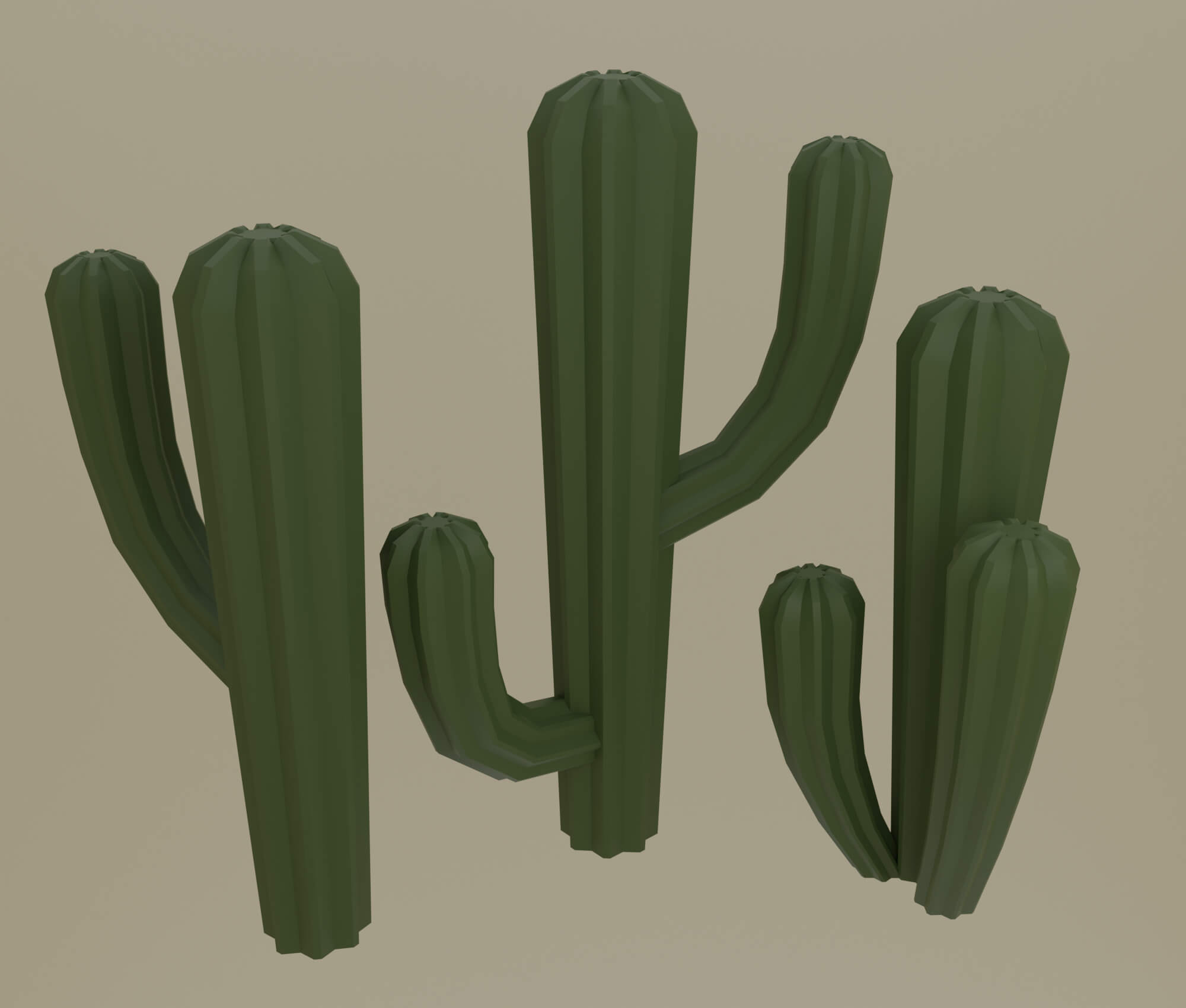 Cactus - Cacti 3D Model by ApprenticeRaccoon