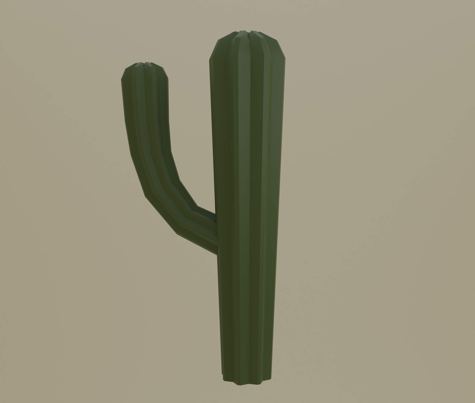 Cactus - Cacti 3D Model by ApprenticeRaccoon