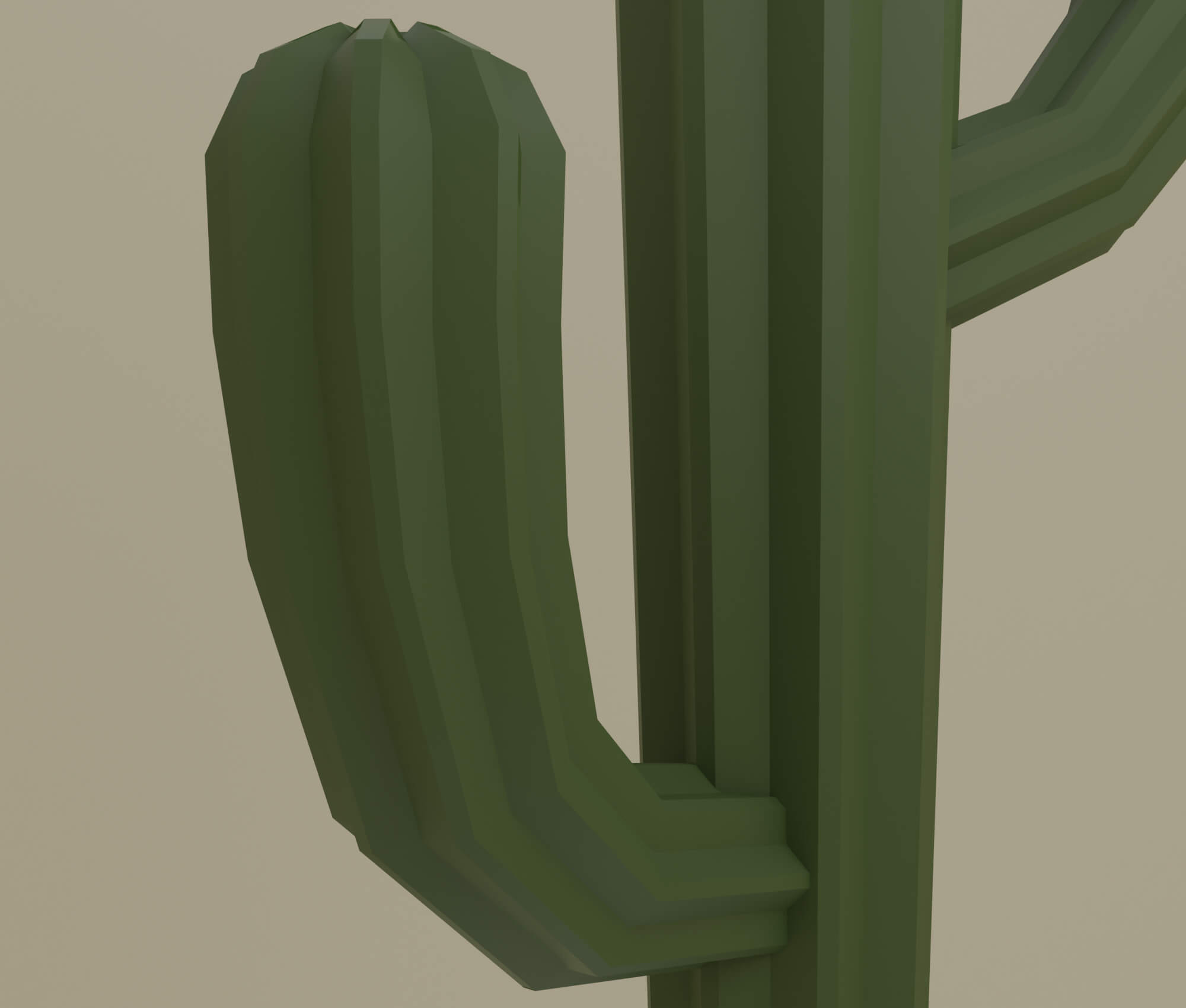 Cactus - Cacti 3D Model by ApprenticeRaccoon