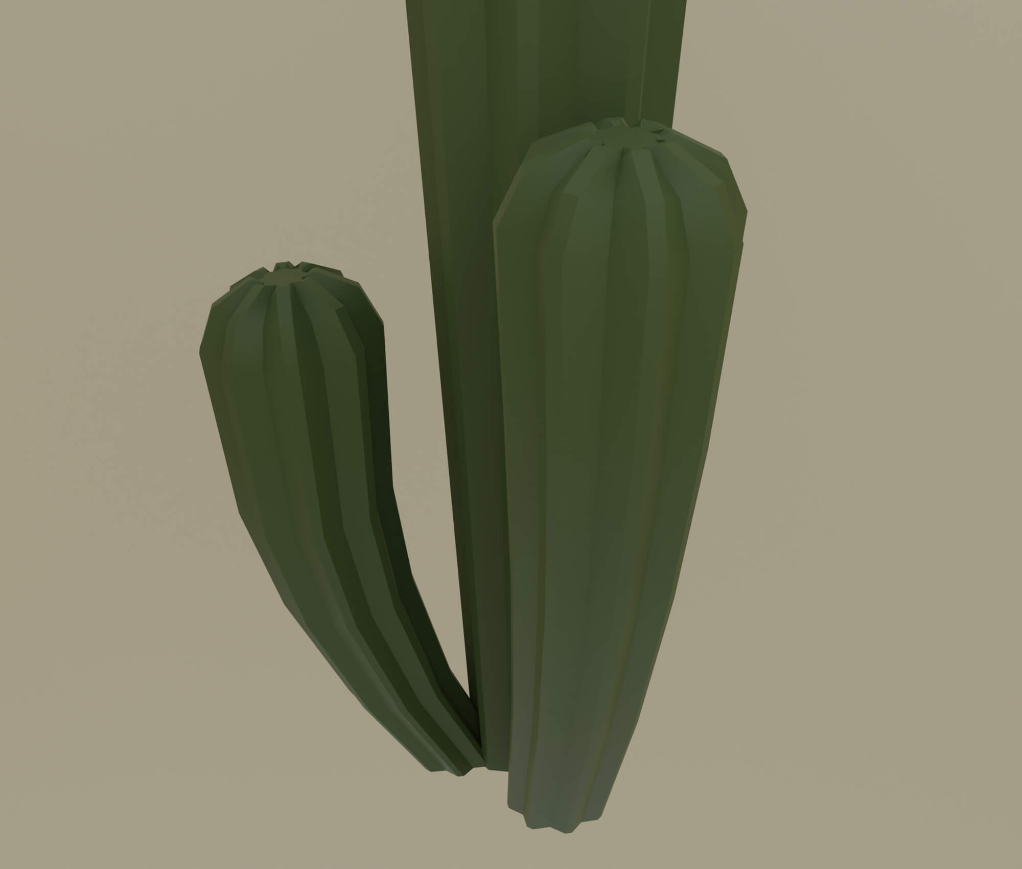 Cactus - Cacti 3D Model by ApprenticeRaccoon
