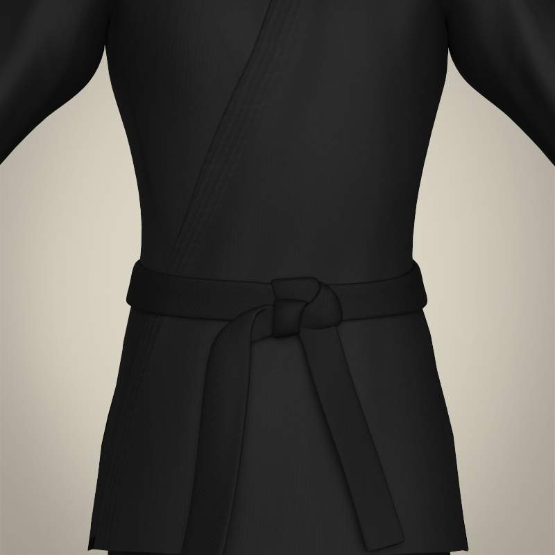 Male Karate Master - 3D Model by arcmodels