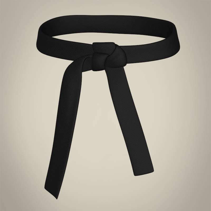 Male Karate Master - 3D Model by arcmodels