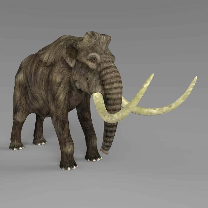 Mammoth Elephant - 3D Model by arcmodels