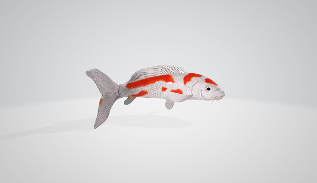 Silver fish 3D Render | RenderHub Gallery
