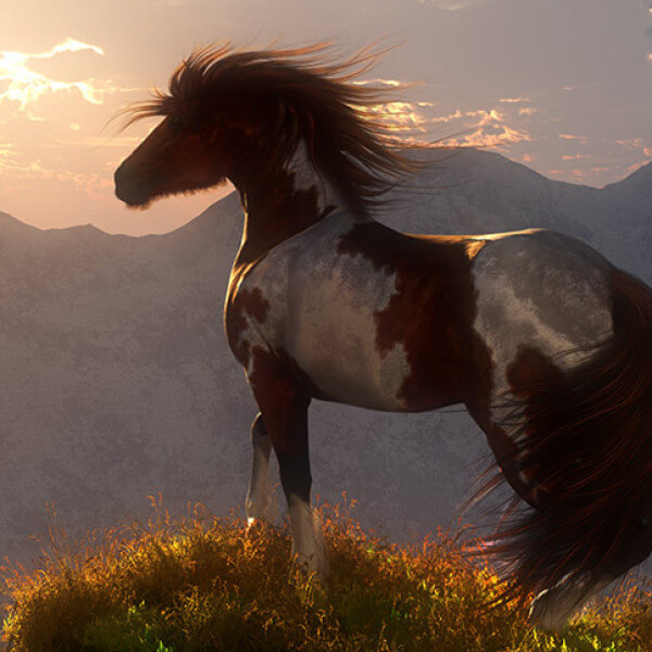 RenderHub 3D Models | Artist Community and 3D Marketplace