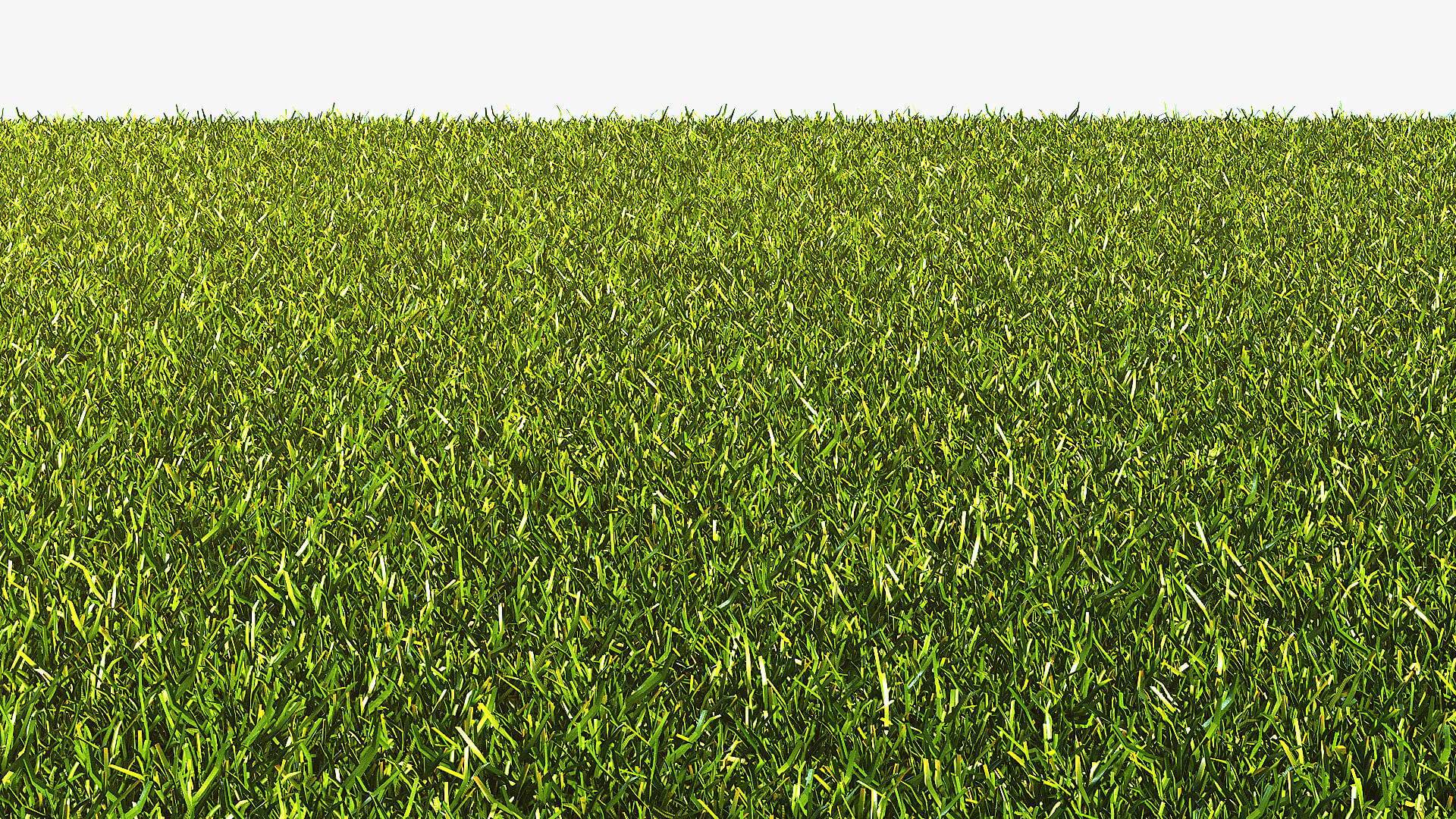 Lawn Grass Trimmed - 3D Model by Artdeco 3d