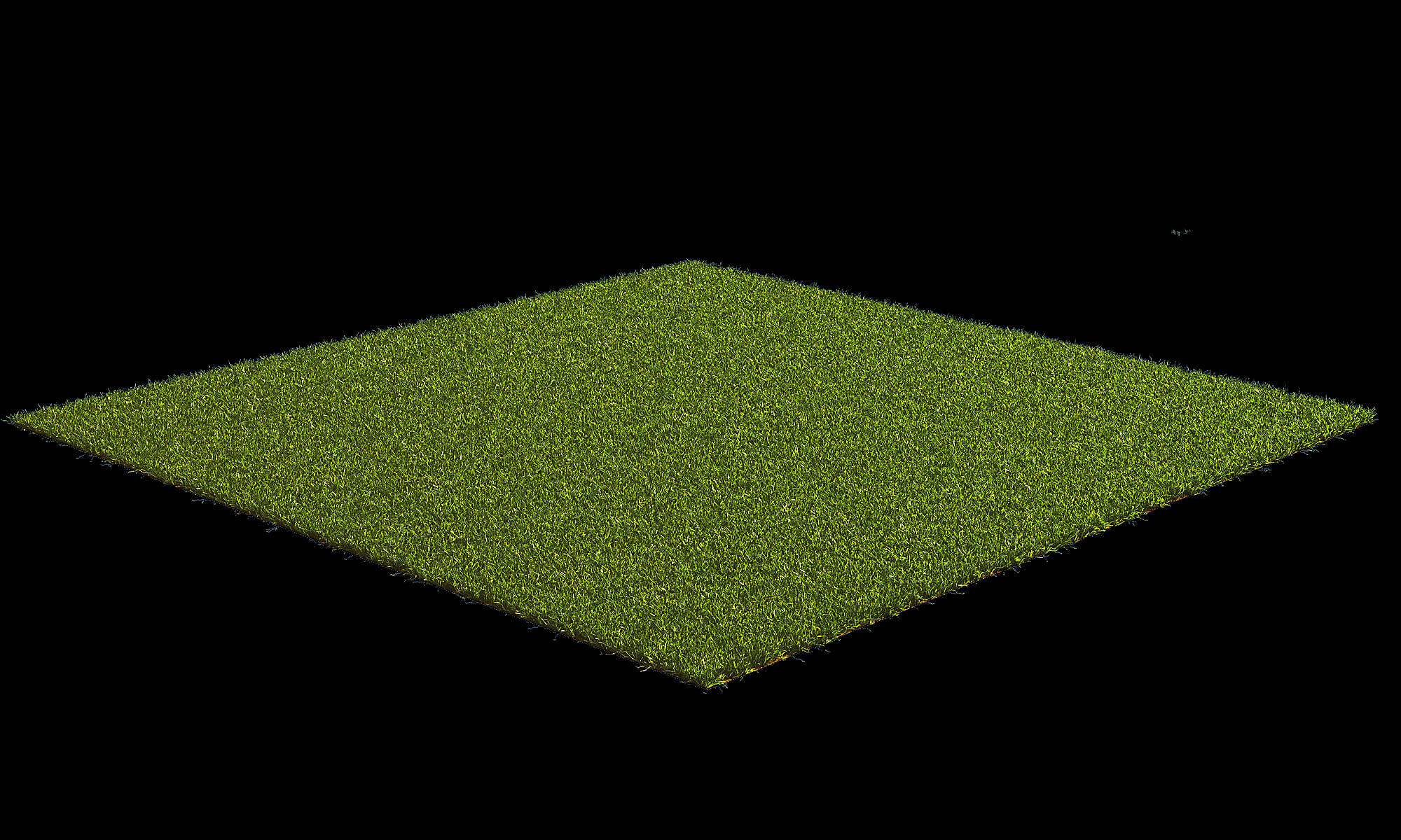 Lawn Grass Trimmed - 3D Model by Artdeco 3d