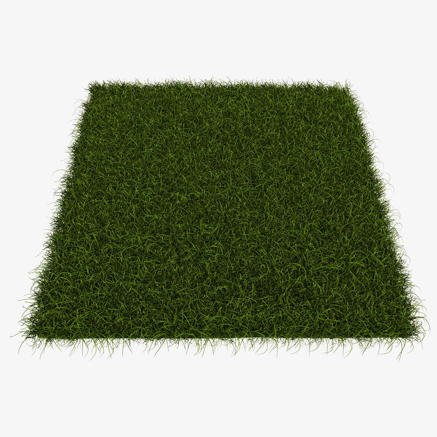 Lawn Grass untrimmed - 3D Model by Artdeco 3d