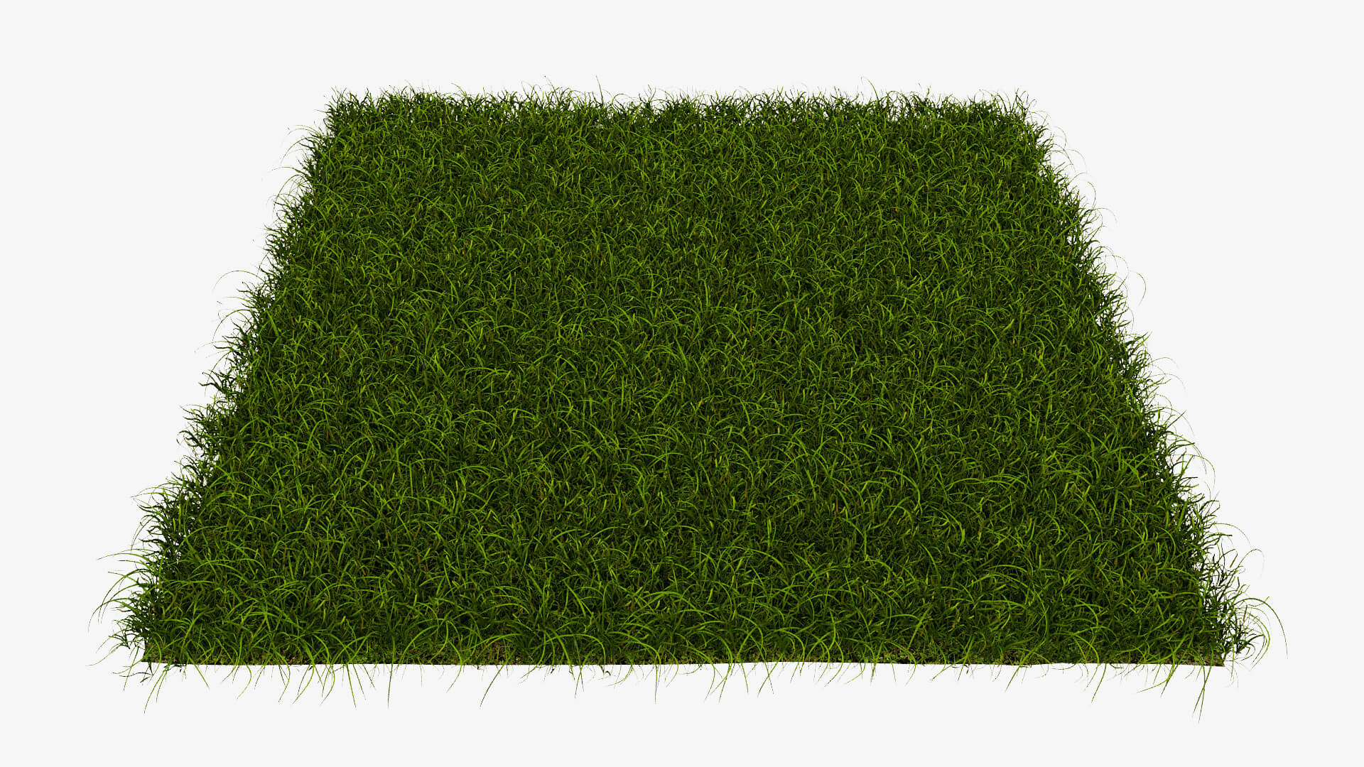 Lawn Grass untrimmed - 3D Model by Artdeco 3d