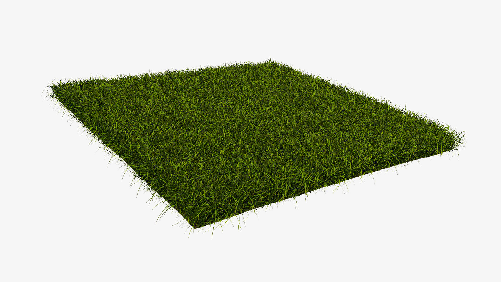 Lawn Grass untrimmed - 3D Model by Artdeco 3d