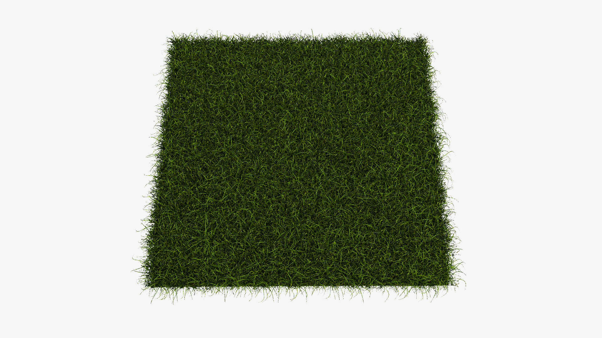 Lawn Grass untrimmed - 3D Model by Artdeco 3d