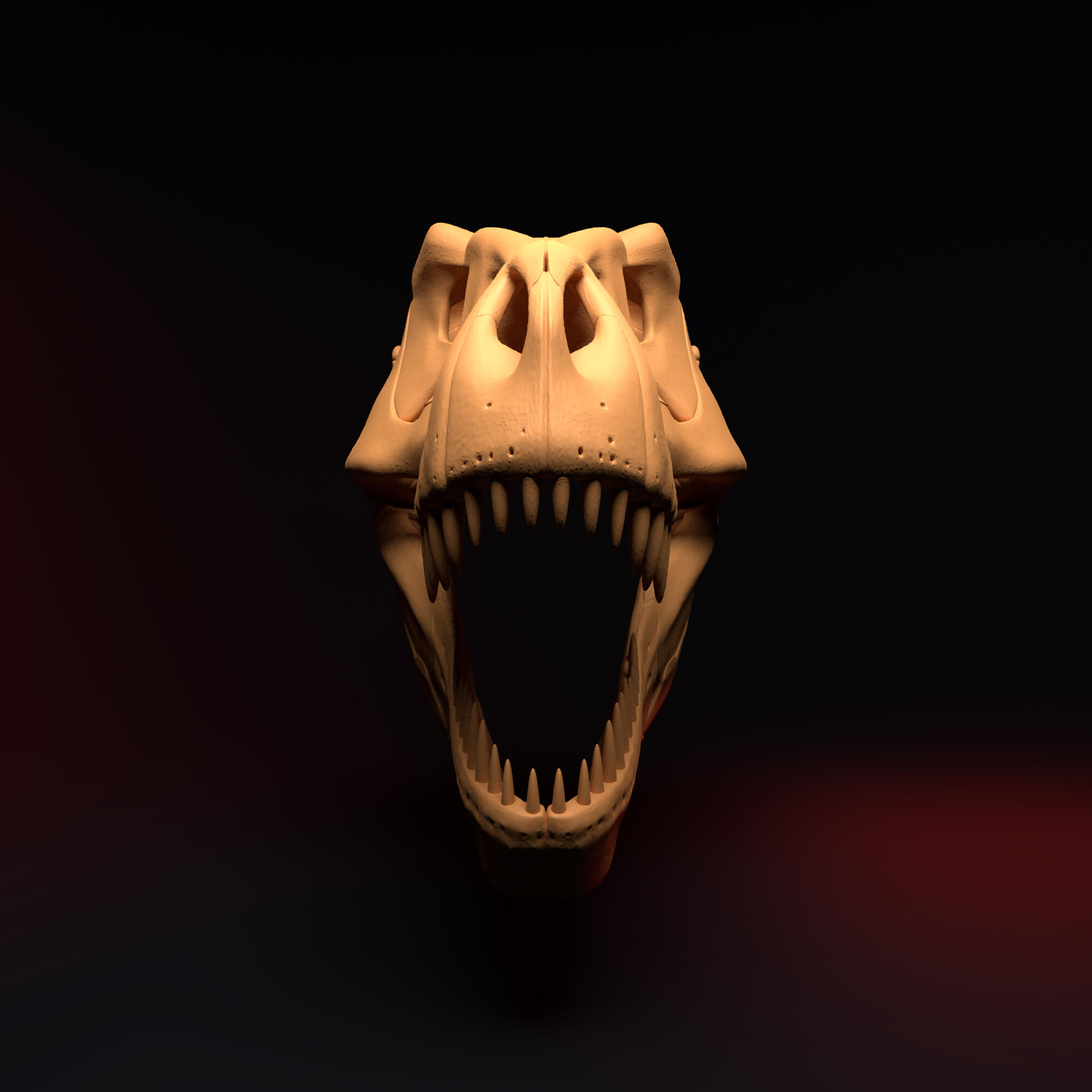 Tyrannosaurus Rex Skull - 3D Model by artgeorg