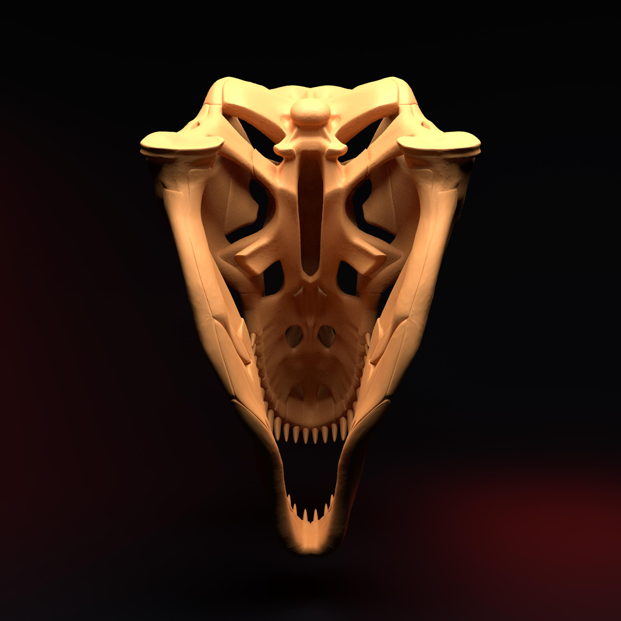 Tyrannosaurus Rex Skull - 3D Model by artgeorg