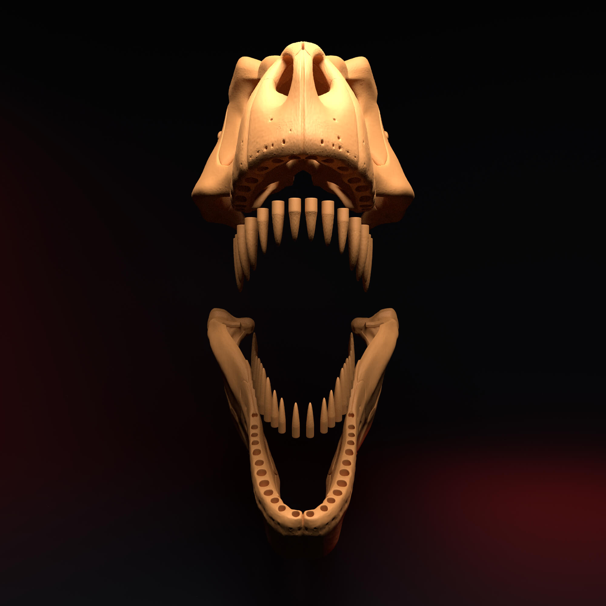 Tyrannosaurus Rex Skull - 3D Model by artgeorg