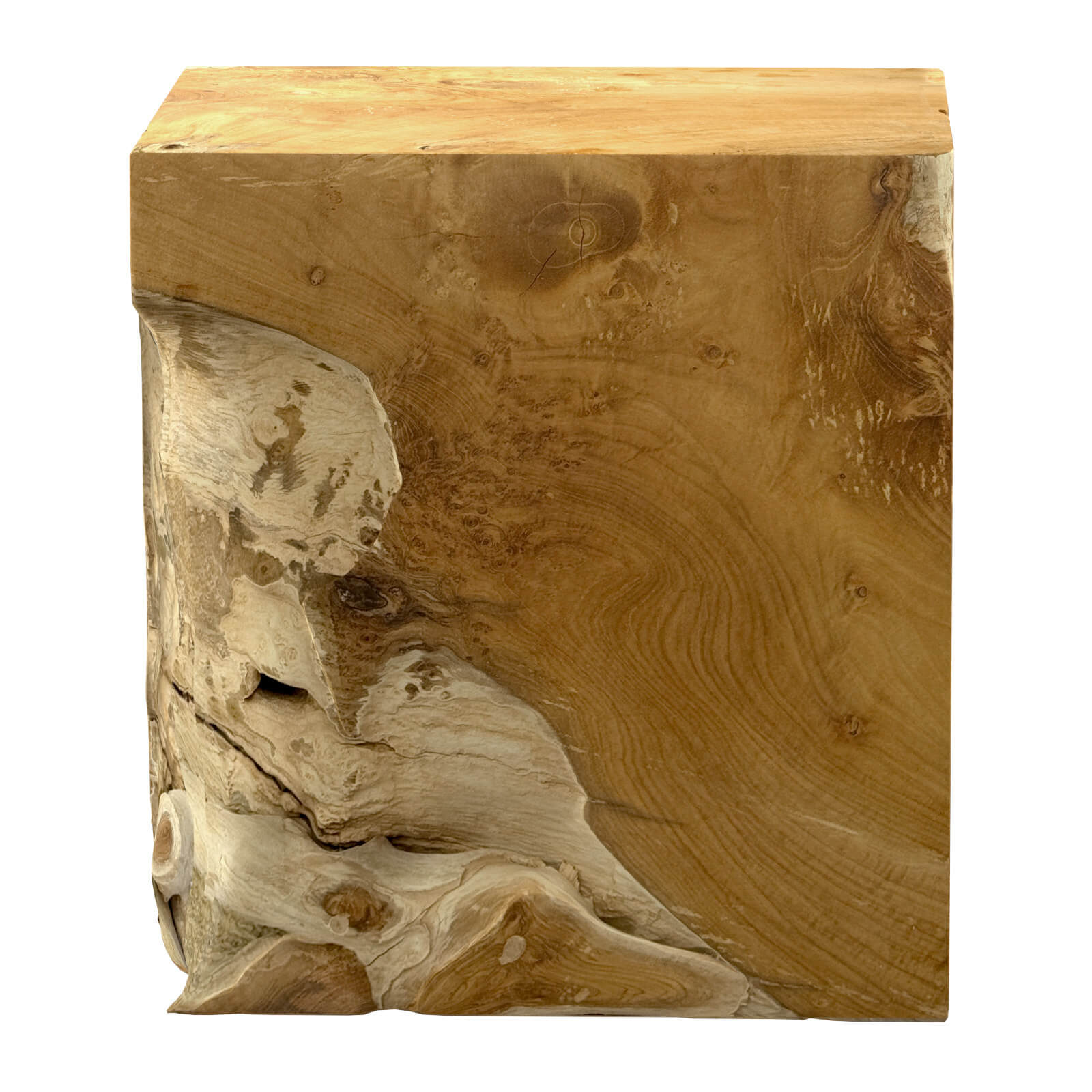 Accent Square Root Coffee Table - 3D Model by artpolka