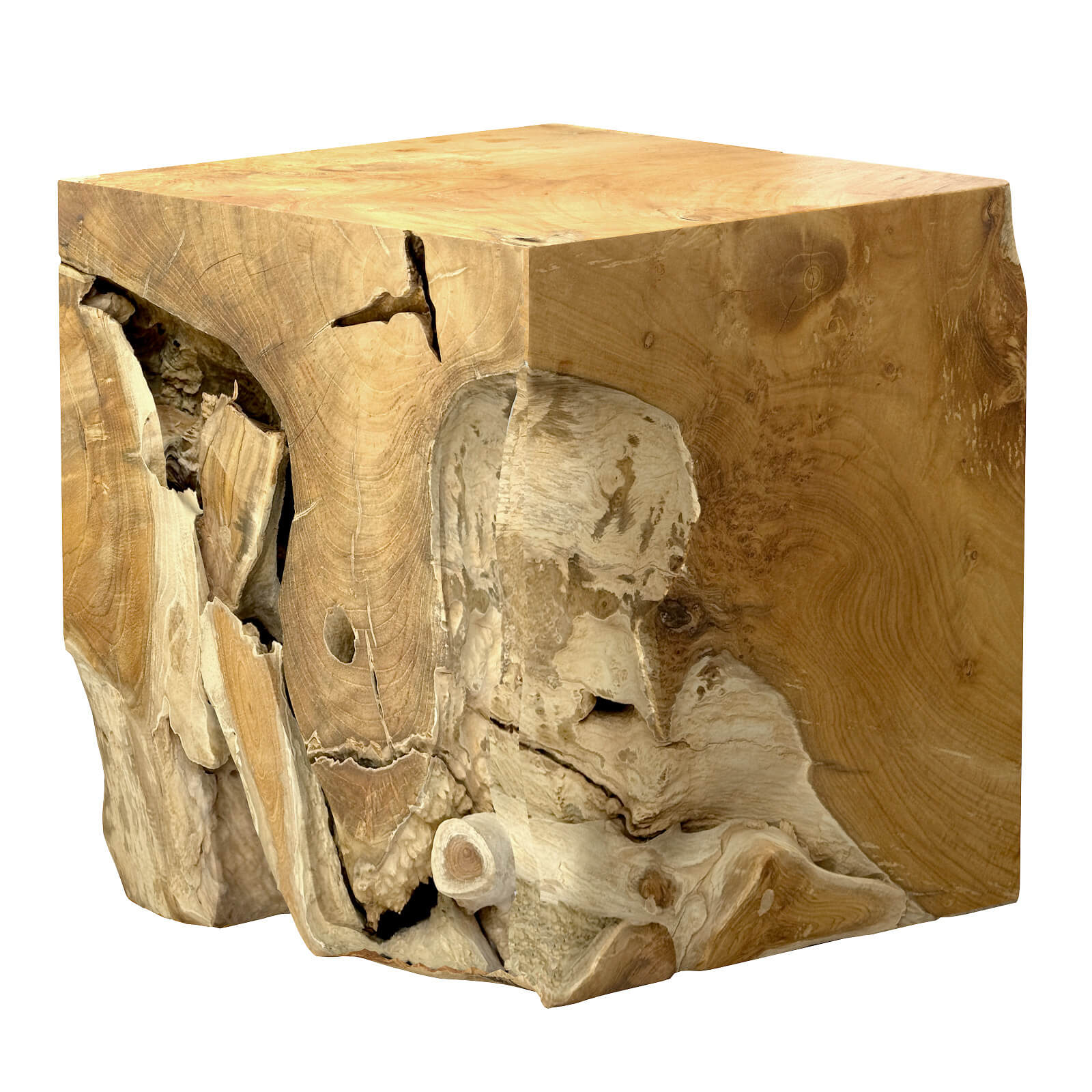 Accent Square Root Coffee Table - 3D Model by artpolka