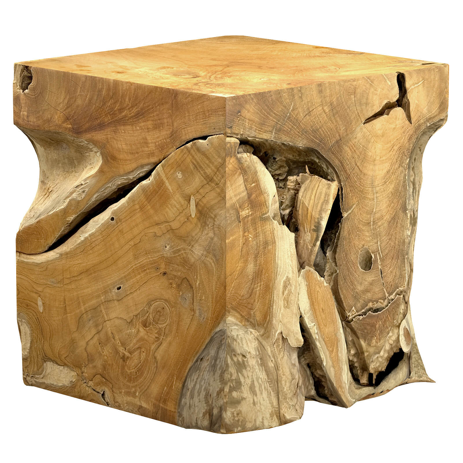 Accent Square Root Coffee Table - 3D Model by artpolka