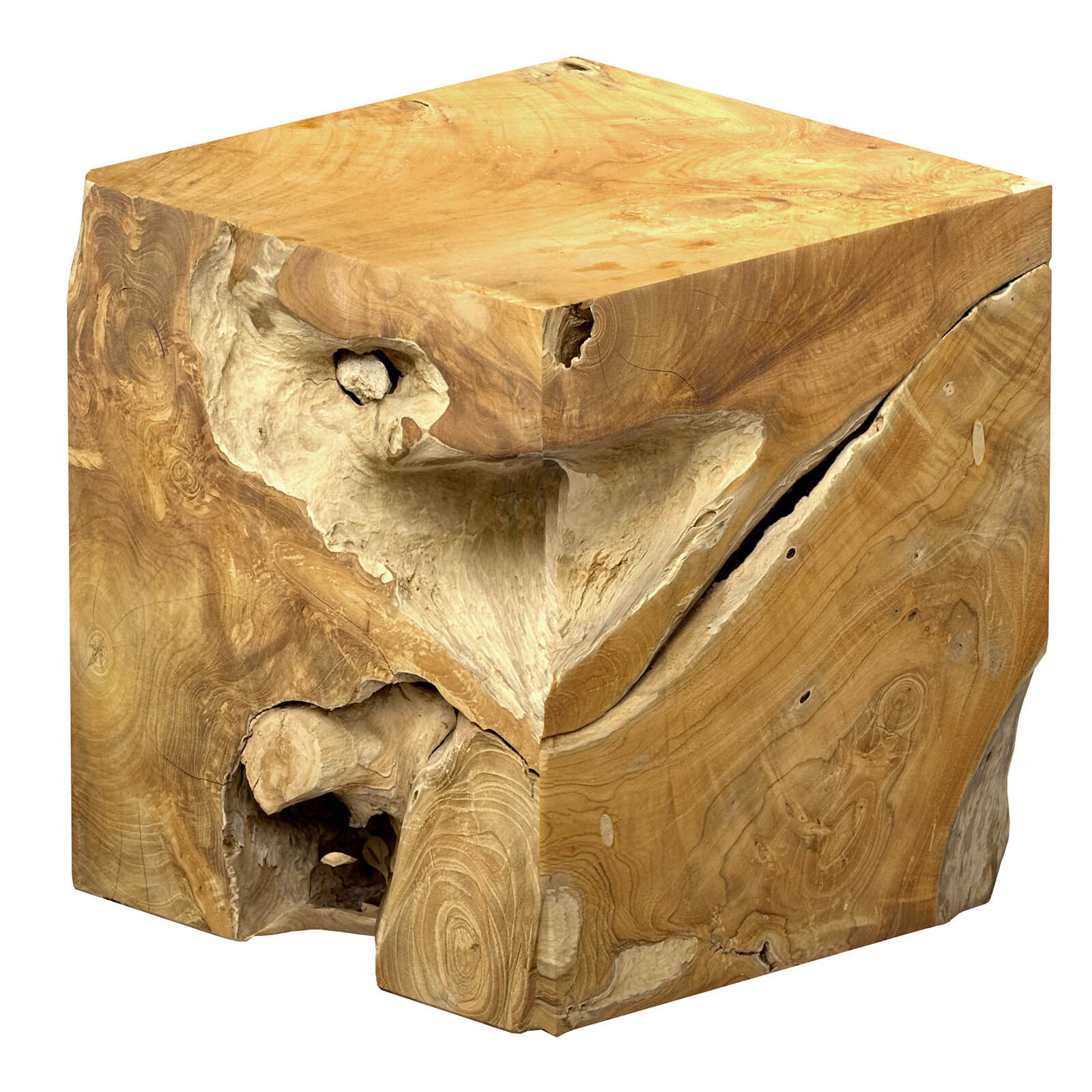 Accent Square Root Coffee Table - 3D Model by artpolka