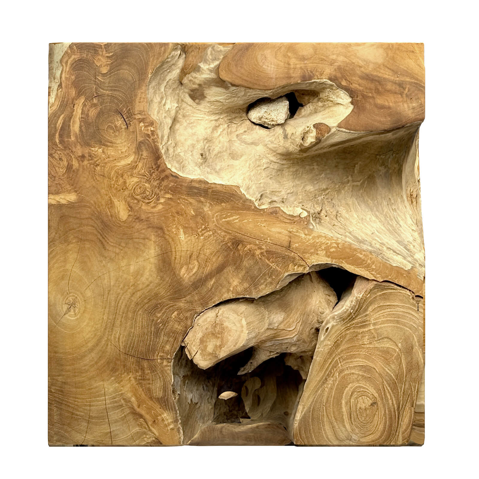 Accent Square Root Coffee Table - 3D Model by artpolka