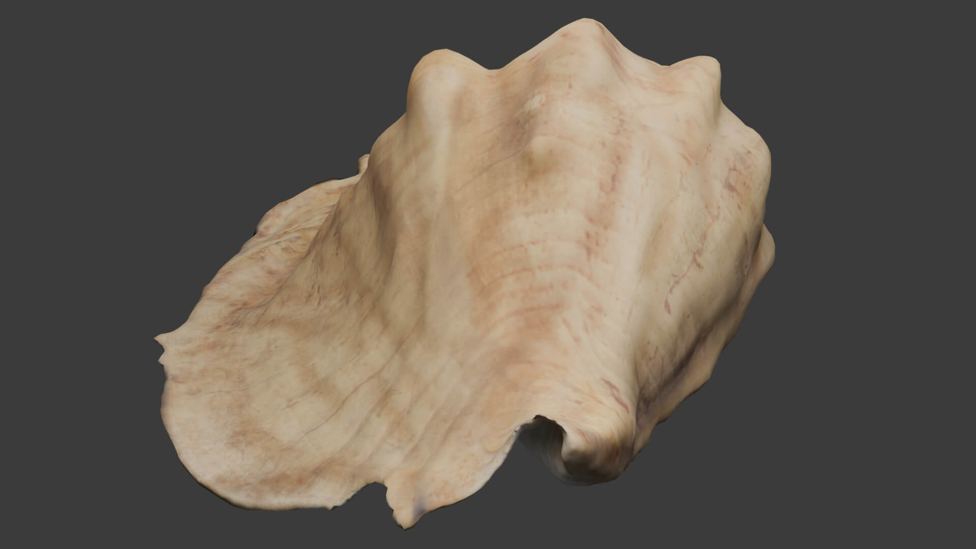 Seashell 3D Model by artworksimpson