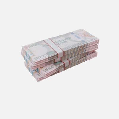 1000 Guyanese Dollar GYD - 3D Model by Arupsaha