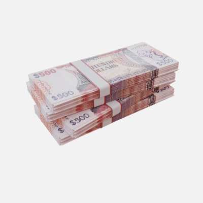 500 Guyanese Dollar GYD - 3D Model by Arupsaha