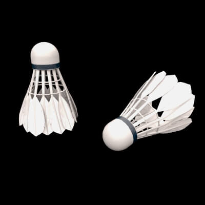 Badminton Shuttle - 3D Model by Arupsaha