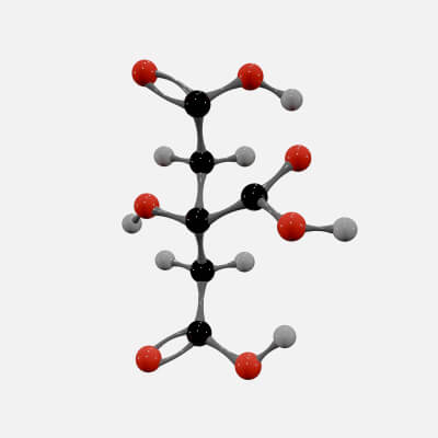 Citric Acid Molecule - 3D Model by Arupsaha