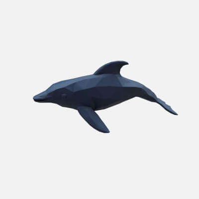 Dolphin Low Poly - 3D Model by Arupsaha