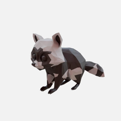 Raccoon Low Poly - 3D Model by Arupsaha