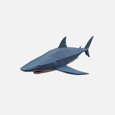 Shark Low Poly - 3D Model by Arupsaha