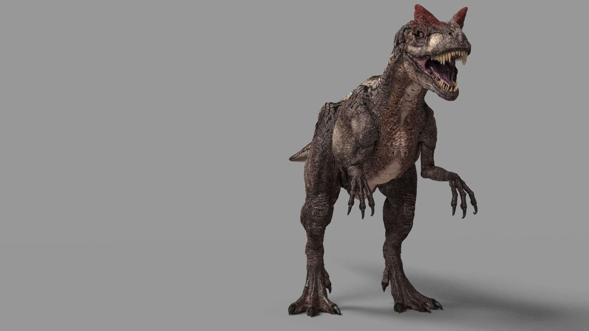 Allosaurus 3d Model