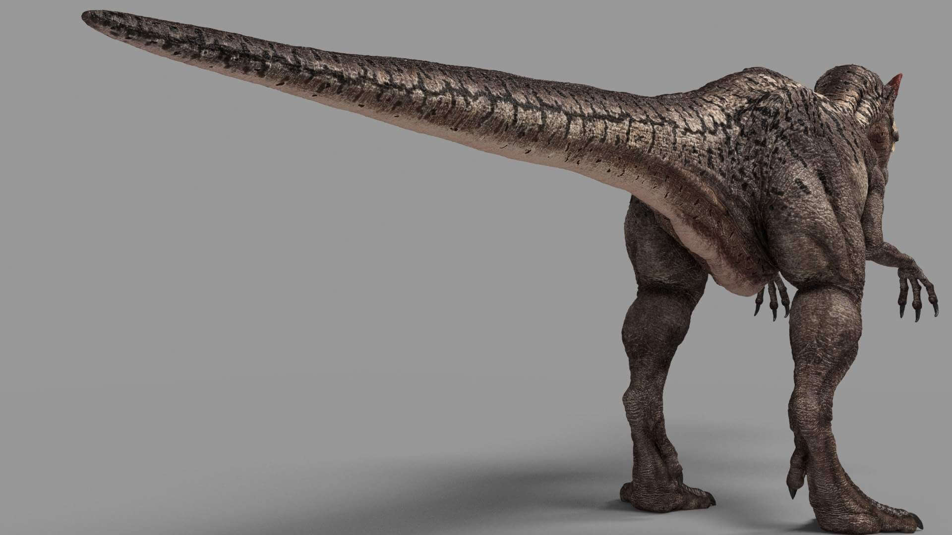 Allosaurus - 3D Model by Astil