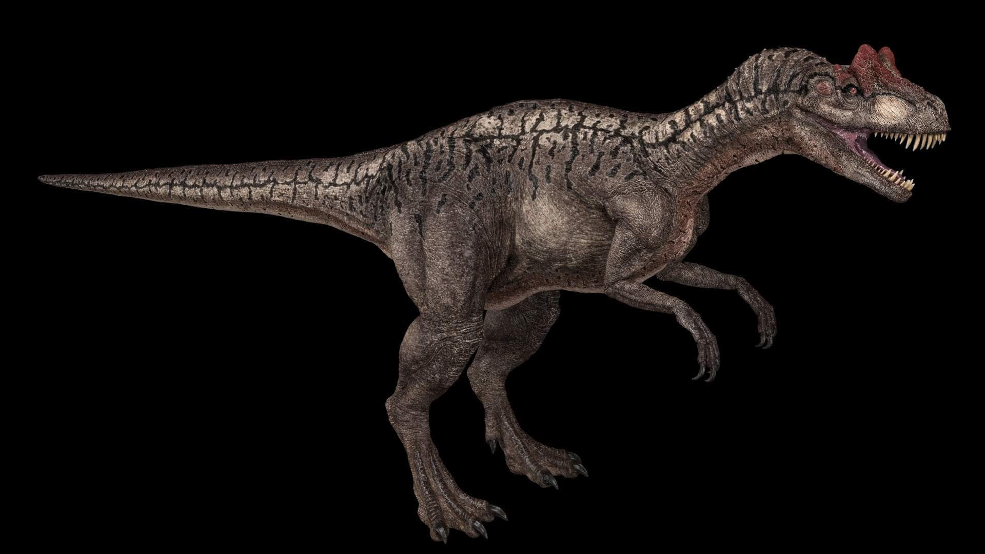 Allosaurus - 3D Model by Astil