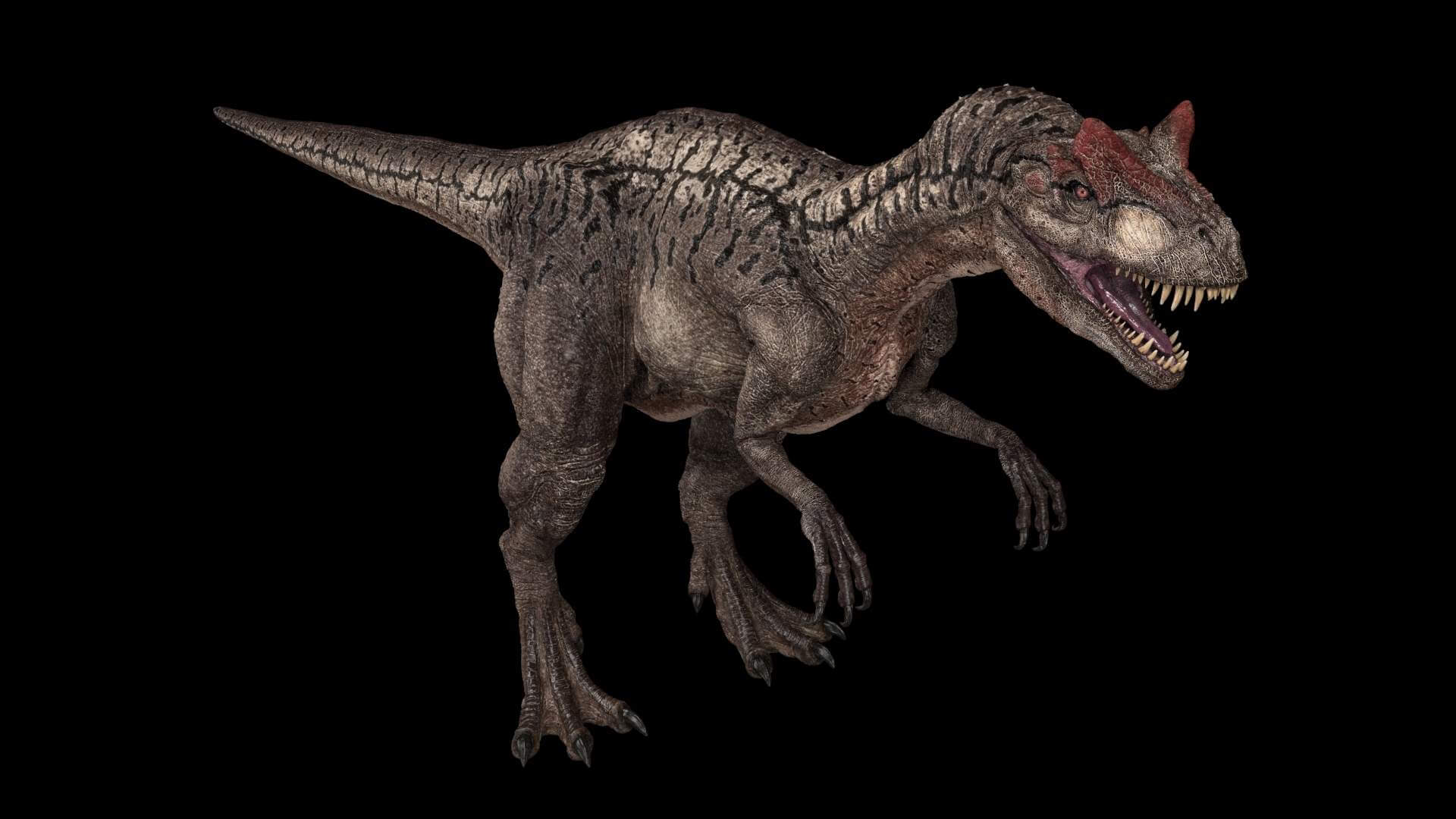 Allosaurus - 3D Model by Astil