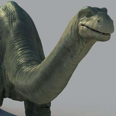 Brontosaurus Face