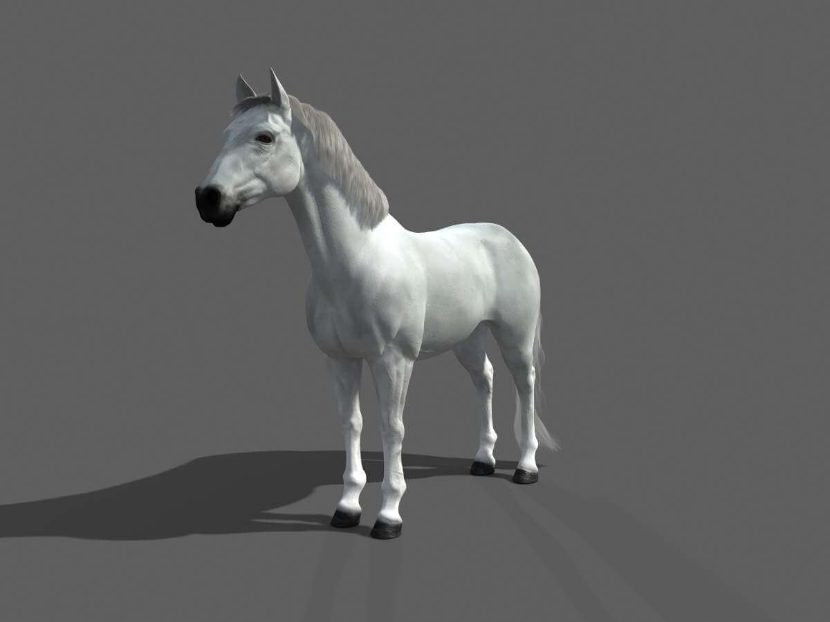 Horse - 3D Model by Astil