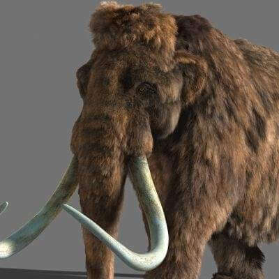 Mammoth - 3D Model by Astil