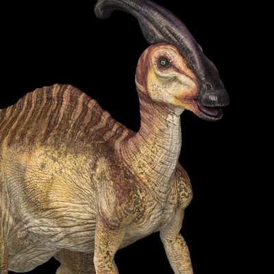 Parasauropholus - 3D Model by Astil