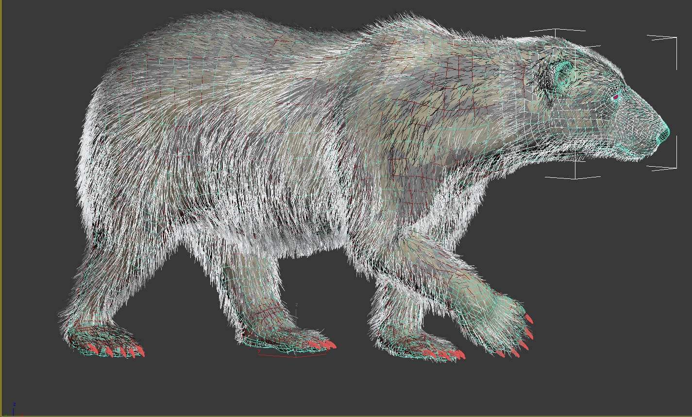 Polar Bear - 3D Model by Astil