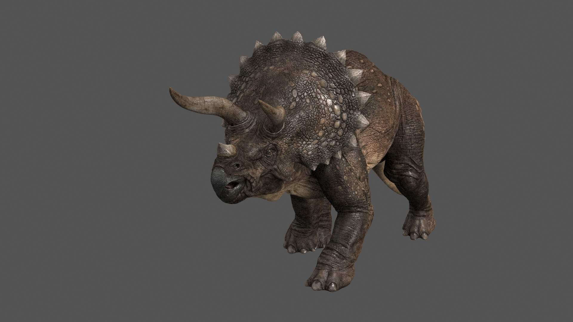 Triceratops - 3D Model by Astil