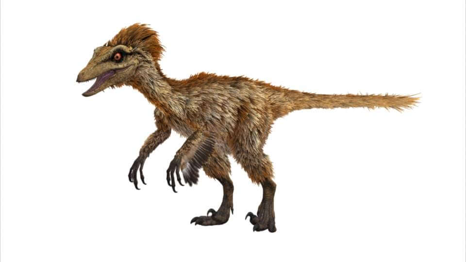 Troodon - 3D Model by Astil