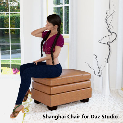 Shanghai Chair 6 Iray Leather Shaders - Daz Content by avadagra