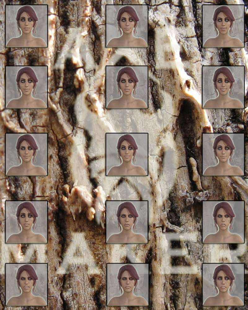 Professional Face Expression Pack - Daz Content by Axe Maker