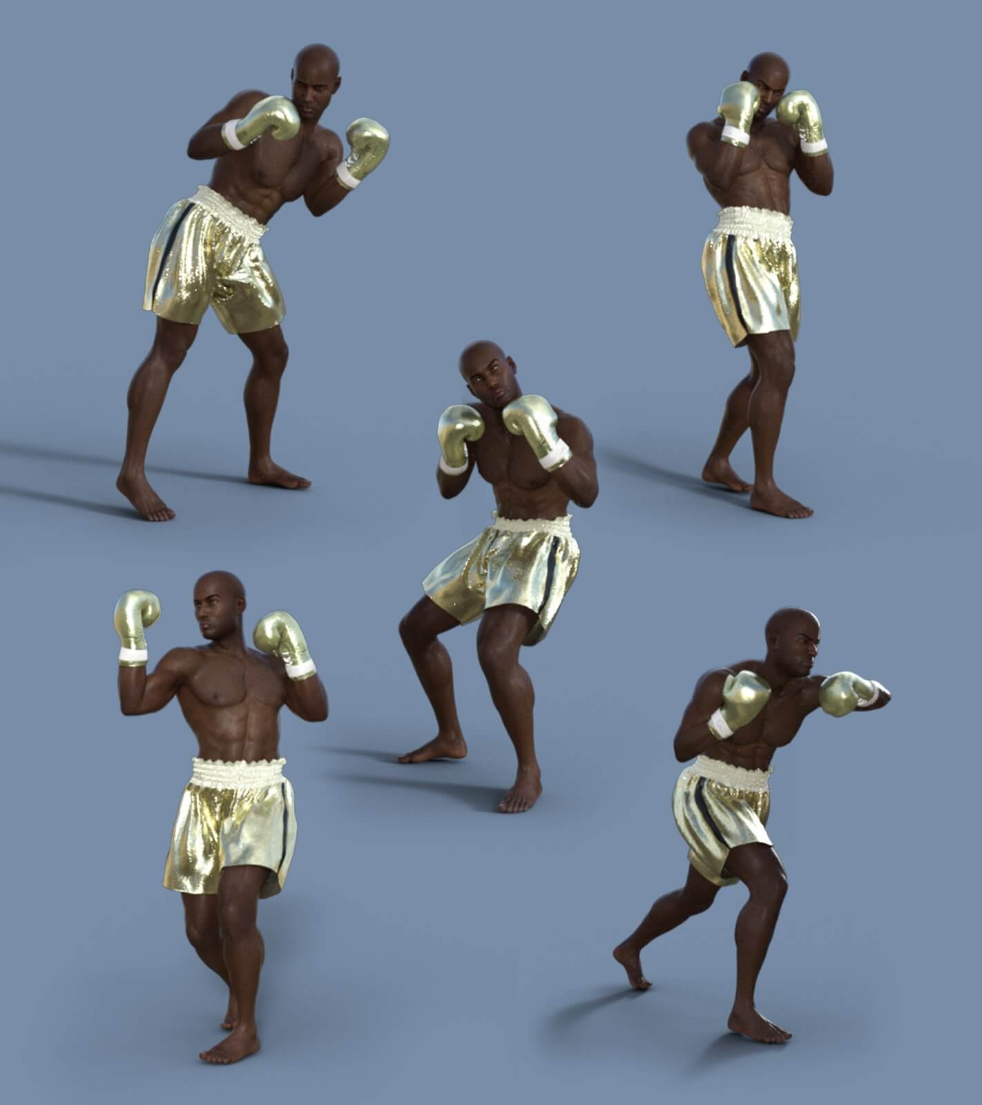 Box Sport Darius 8 - Daz Content by Axe Maker