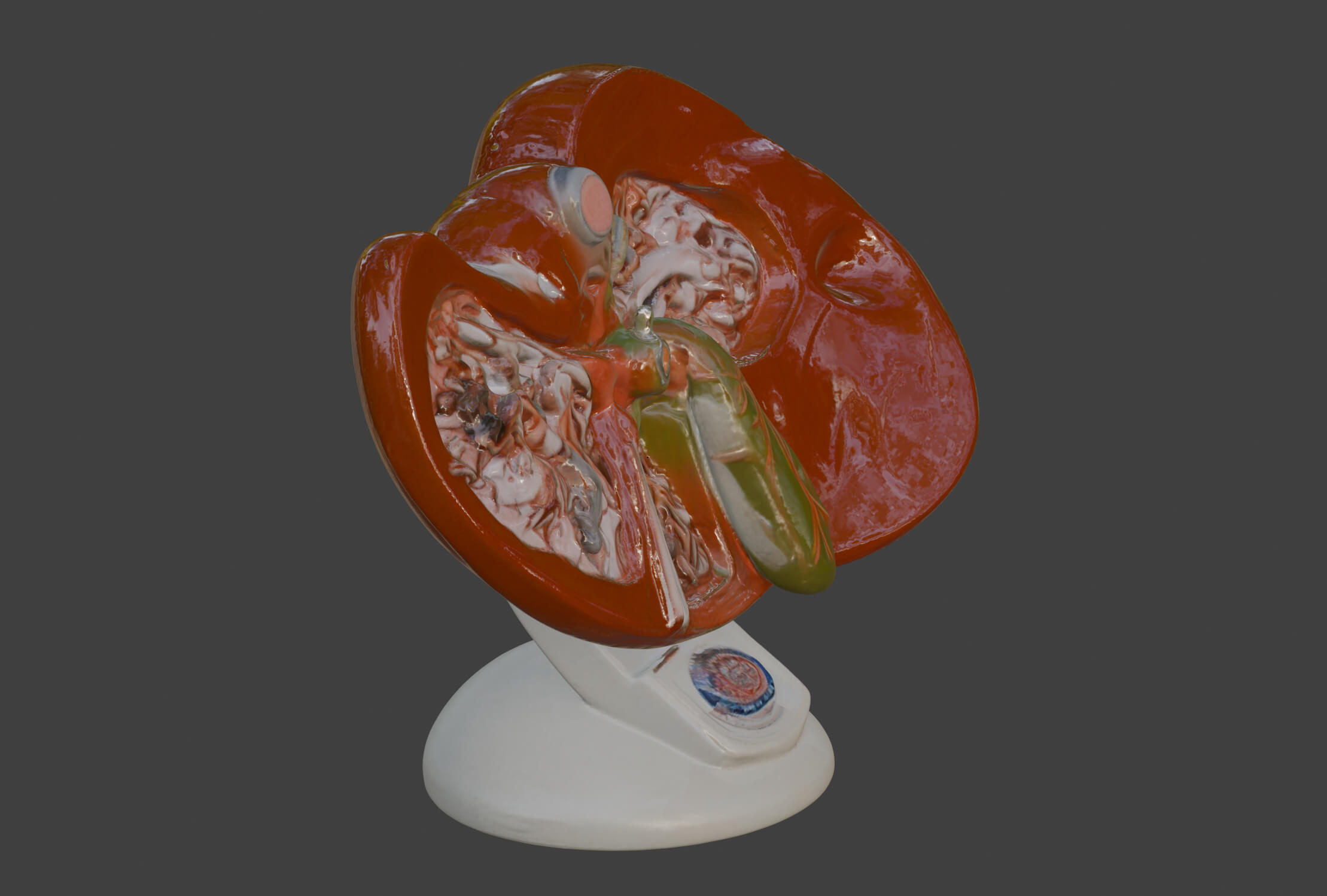 3D Liver and Gallbladder Anatomical Model by azekapeka