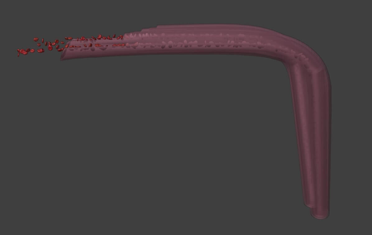 3D Model of Blood Vessels Anatomy by azekapeka